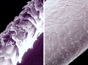 La salud de la cutícula capilar y la importancia de la queratina - BySimone